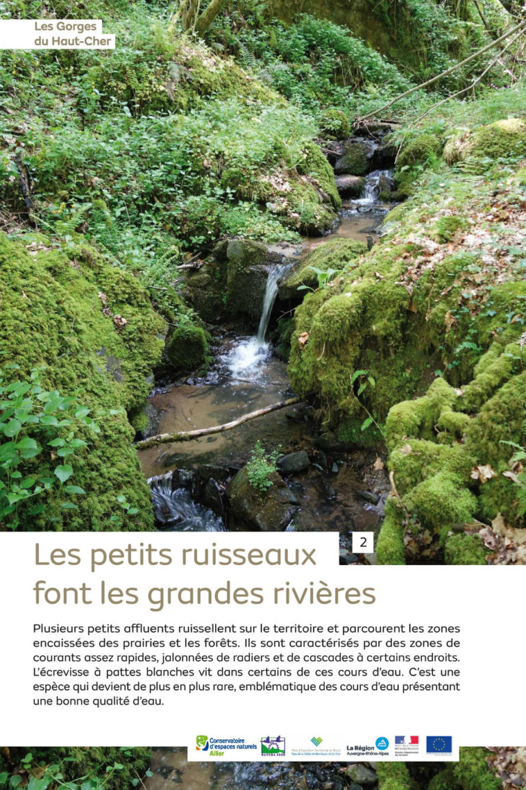 Les petits ruisseaux font les grandes rivières | CEN Allier